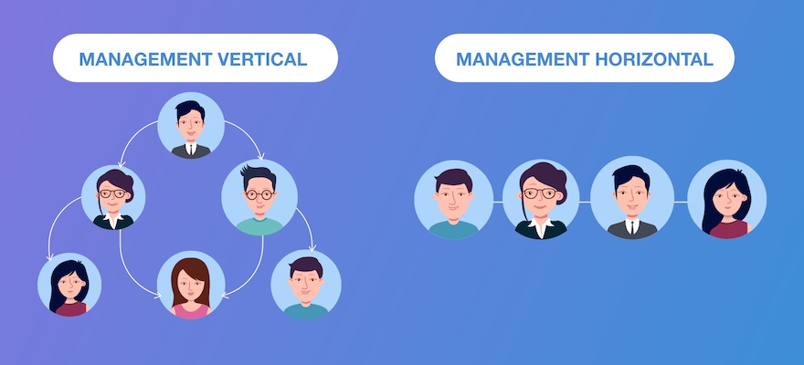 Management Horizontal - Définition